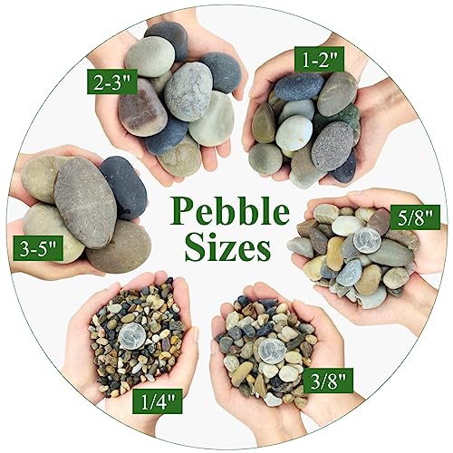 Snapklik.com : 10lbs Natural River Rocks, 1/4 Aquarium Gravel Small ...