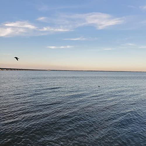 Bran's Backing Pad by Brandon Chase on Amazon Music - Amazon.com