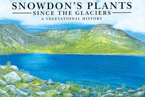 Snowdon's Plants Since the Glaciers: a Vegetational History: Heather ...