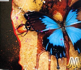 MOOMIN, CORN HEAD, RUDE BOY FACE, MOOMIN - 禁断の森 - Amazon.com Music