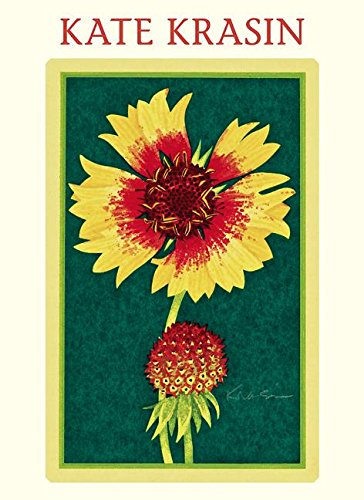 Amazon.co.jp: Kate Krasin Boxed Notecards : Kate Krasin: 洋書