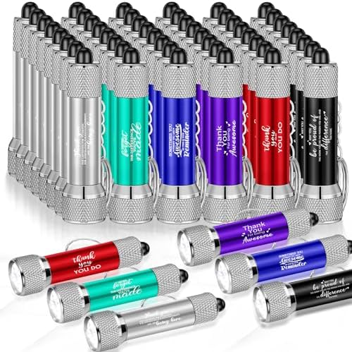 VIHOSE 48 Pcs Mini Flashlights Bulk with Keychain Bright LED ...