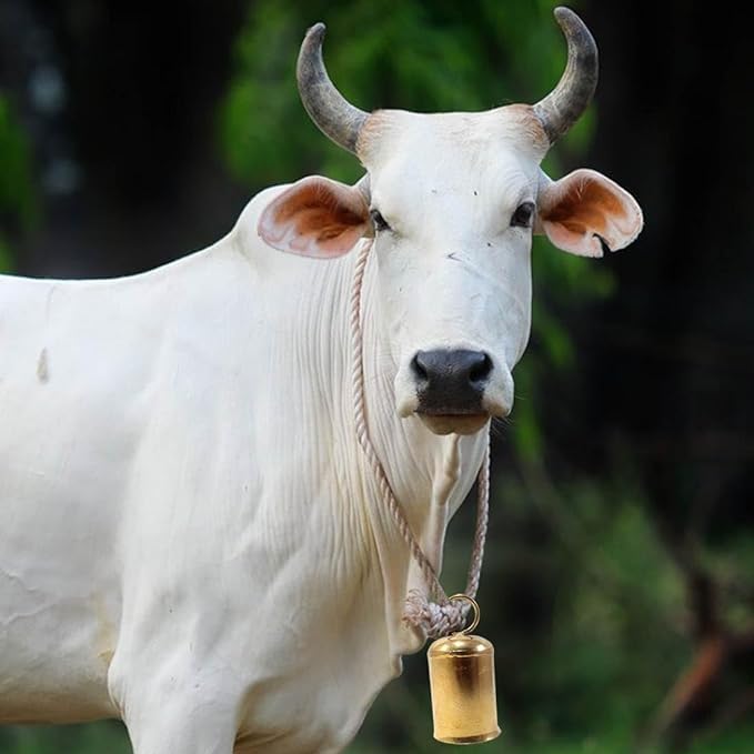 DRK Shopmart Cow/Bull/Buffalo Bell,Neck Bell,Ghanti for Cow Mountable ...