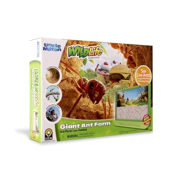Uncle Milton Giant Ant Farm - Large Viewing Area - Care for Live Ants ...