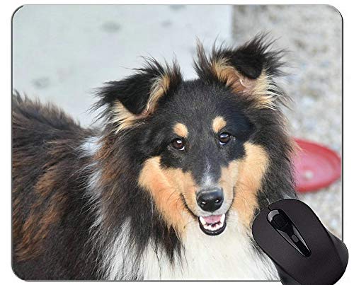 LAMS Print with German Shepherd Dog Mouse Pad,Dog Mouse Pad Mat 4579 ...