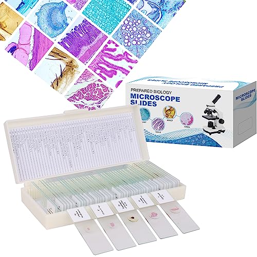 Snapklik.com : 50pcs Prepared Microscope Slides,Preloaded Microscope Slides