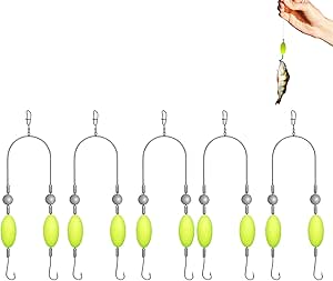 Double-Hook Reverse Bottom Rig, Double Reverse Fishing Hook Set with ...