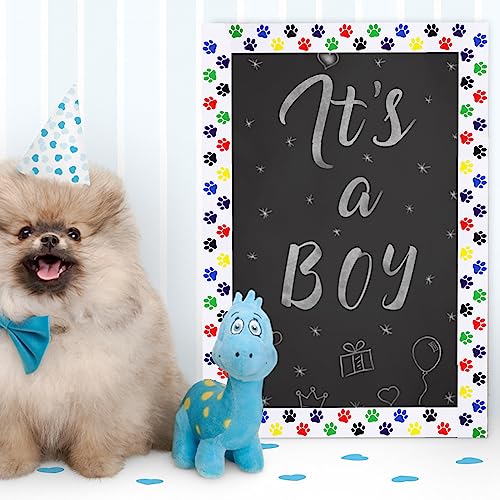 Snapklik.com : 99 Feet Paw Print Bulletin Board Border Colorful Paw ...