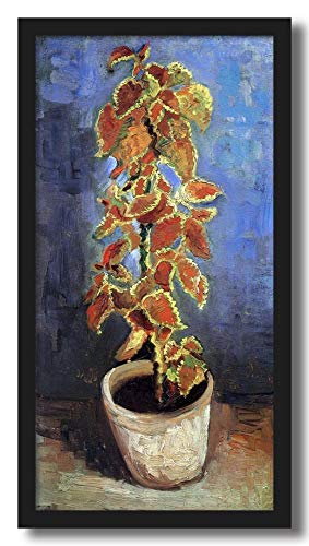 ArtCentral Coleus Plant in a Flowerpot, 1886 by Vincent Van Gogh ...