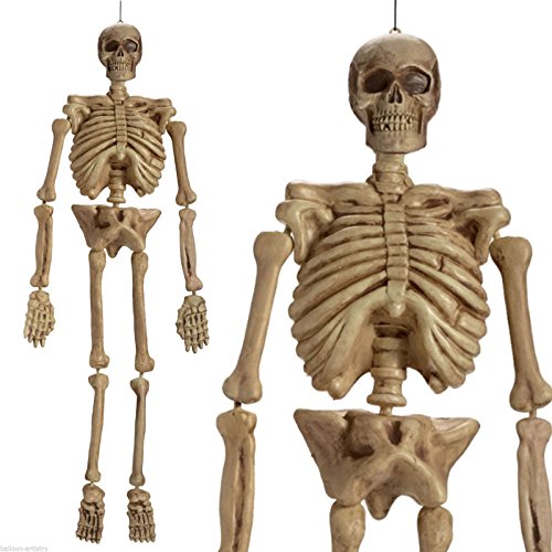 Realistic Hanging Skeleton 5ft Life Size Halloween Decoration Prop ...