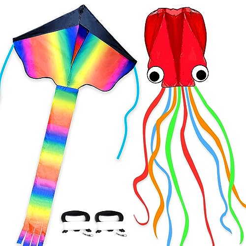 5 Best Kites for Beginners to Soar High in the Sky