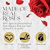 Amazon.com: GLAMOUR BOUTIQUE Eternal Preserved Roses in a Box - Flowers ...