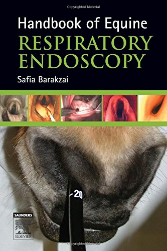 Amazon | Handbook of Equine Respiratory Endoscopy, 1e | Barakzai BVSc ...