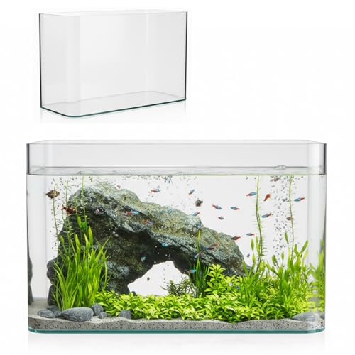 Best Curved Front Fish Tank Buying Guide: Top 5 Curved Aquariums for ...