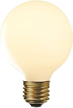 Amazon.com: type g light bulb