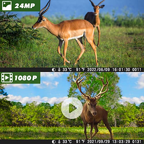 Hapimp Caméra de chasse 1080p 24 MP Mini caméra de chasse et de trail ...