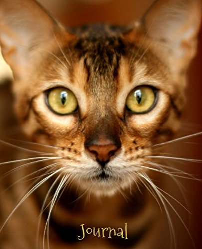 Journal: Bengal (Cat Journals Collection): Publications, Dreamflight ...