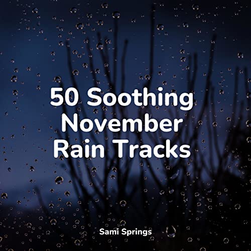 50 Soothing November Rain Tracks by Lluvia PQ, Organic Nature Sounds ...