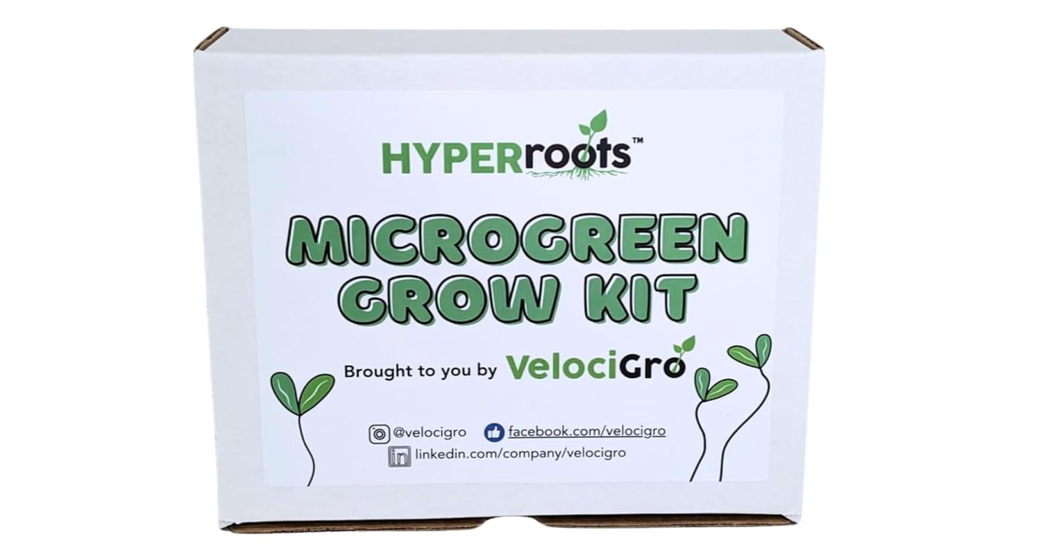 Amazon.com : HYPERroots Microgreen Growing Kit for Kids with 4 Types of ...