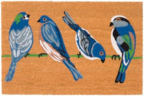 Amazon.com: Liora Manne Natura Doormat Non-Slip Natural Fiber Outdoor ...