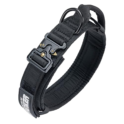 K9 Collars – The 15 best products compared - Wild Explained