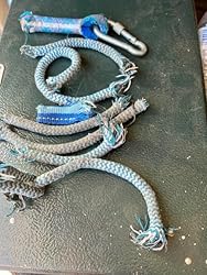 Pet Supplies : Black Rhino Tetherball Set for Dogs - Heavy Duty Outdoor ...