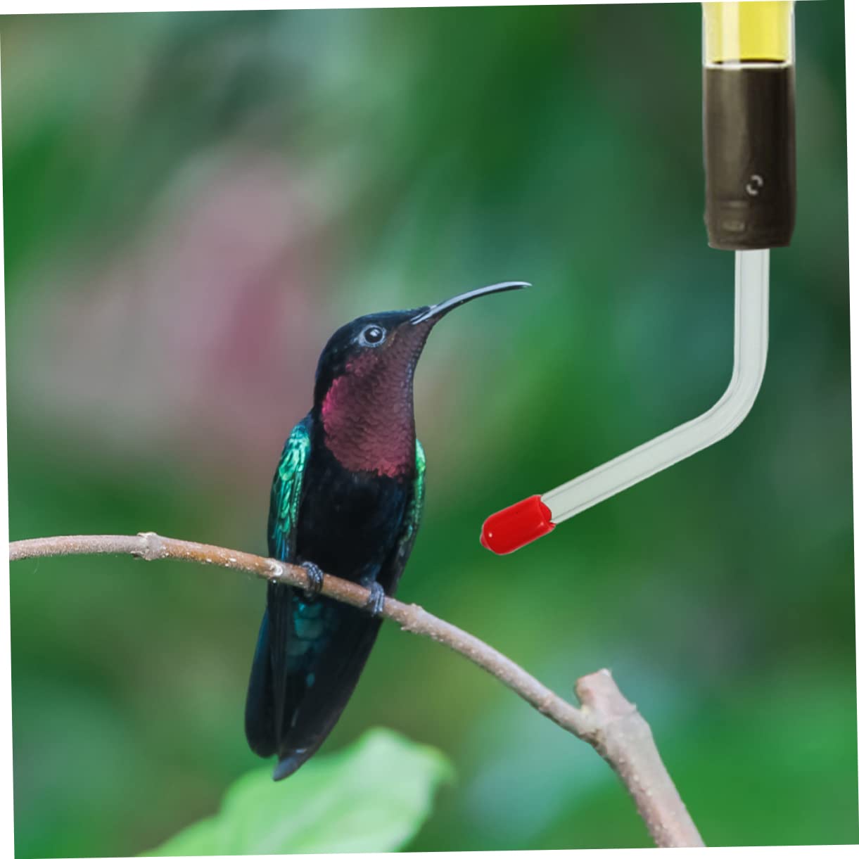 Abrevoir Colibri HCGADON Hummingbird Feeder - 20 Oz Plastic Feeders, 6 ...