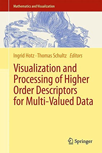 Visualization and Processing of Higher Order Descriptors for Multi ...
