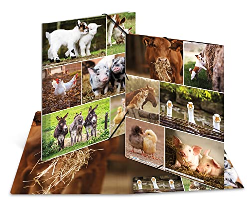 HERMA 19344 Portfolio Folder DIN A4 Animal Worlds Farm Animals Sturdy ...