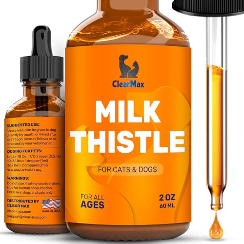 Liver Disease In Cats – The 15 best products compared - Wild Explained
