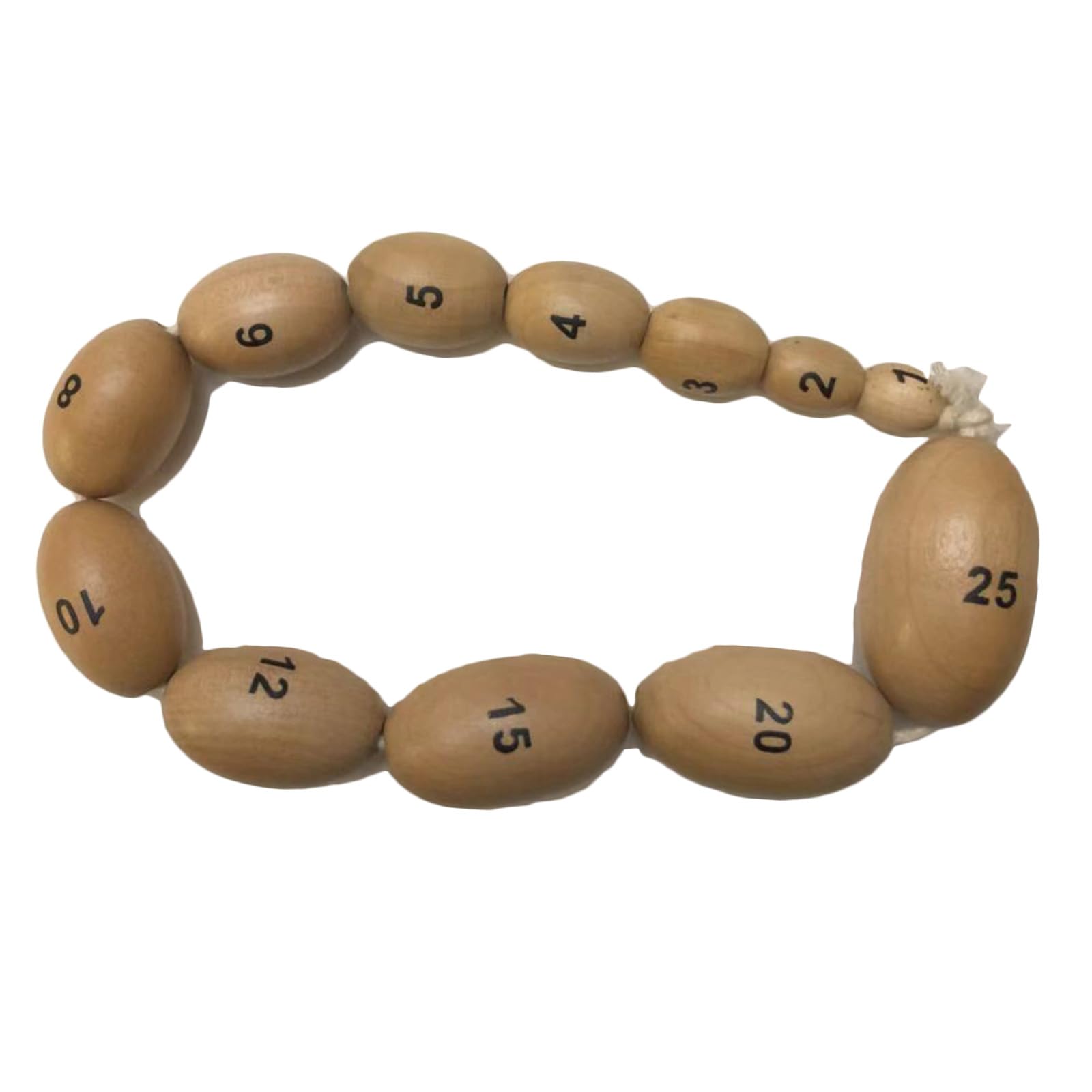 Normal Testis Size Human Testicle Problems – Checking Your Testicles