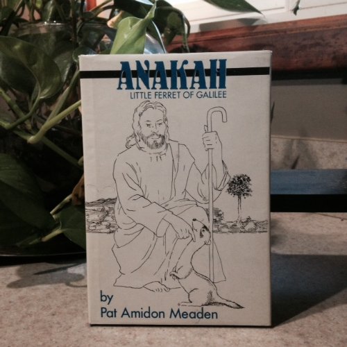 Anakah Little Ferret of Galilee - Livros na Amazon Brasil