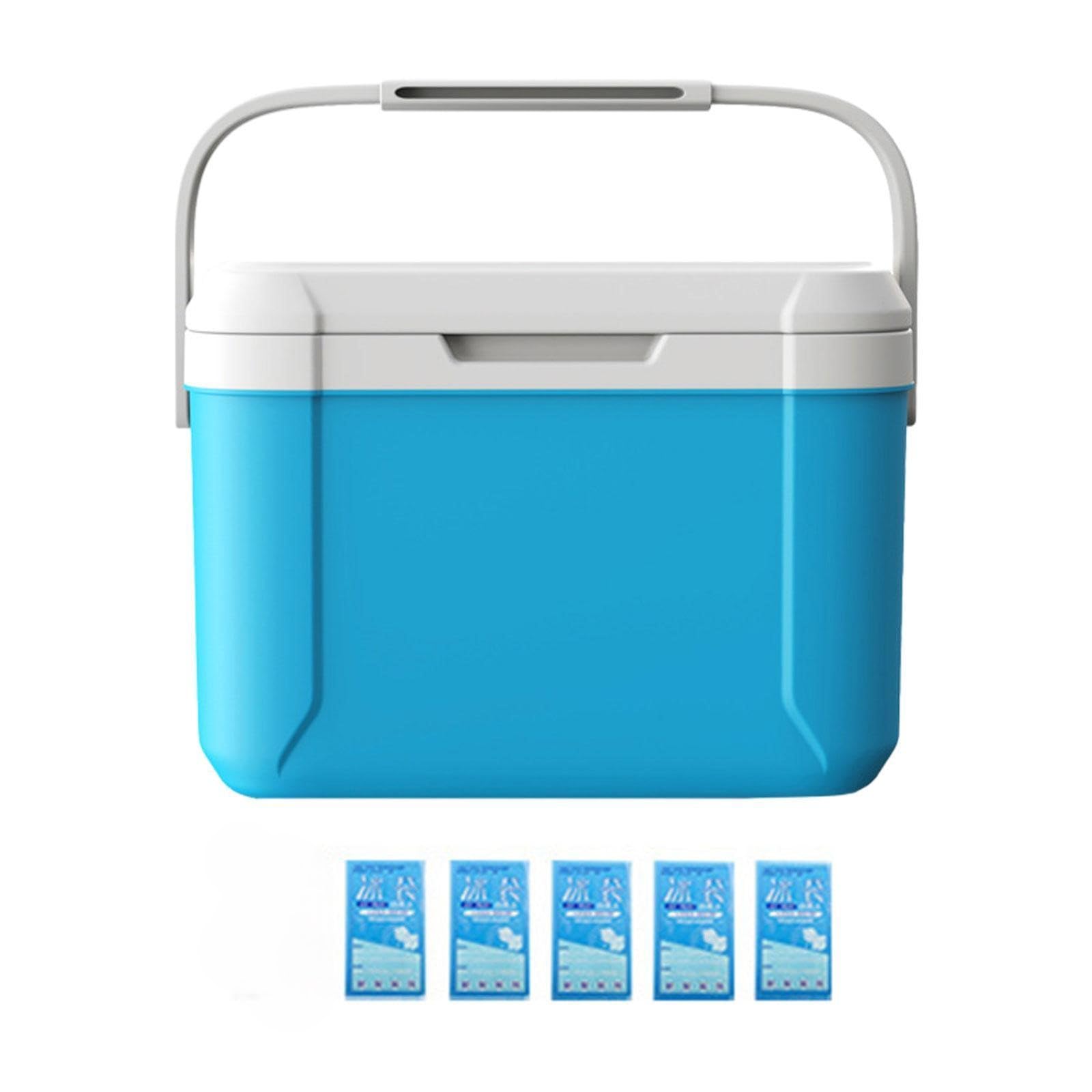 Shipfayda 5 Liter Ice Box Cooler Box With 5pcs Ice | Desertcart Morocco