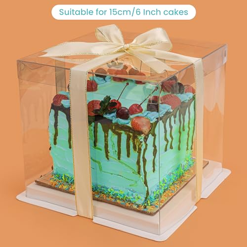 BELLE VOUS 2 Pack of Clear Plastic Cake Boxes with Boards & Ribbon – 21 ...