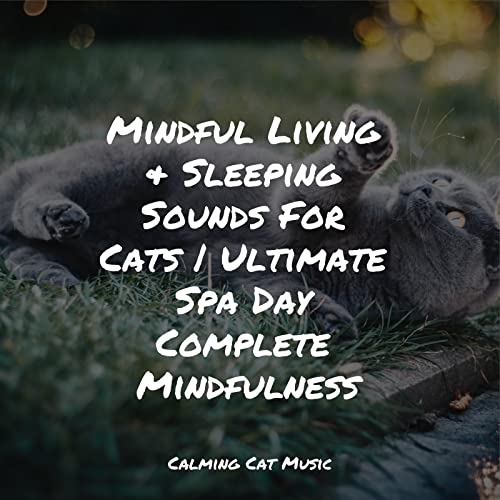 Play Mindful Living & Sleeping Sounds For Cats | Ultimate Spa Day ...