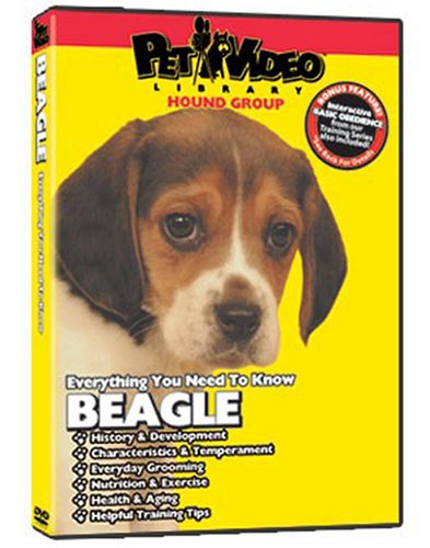 Amazon.com: BEAGLE DVD: Everything You Should Know + Dog & Puppy ...