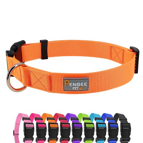 Top Paws Dog Collars – The 15 best products compared - Wild Explained