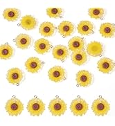 Amazon.com: Beadthoven 28pcs Crystal Glass Rose Flower Charms 14 Colors ...