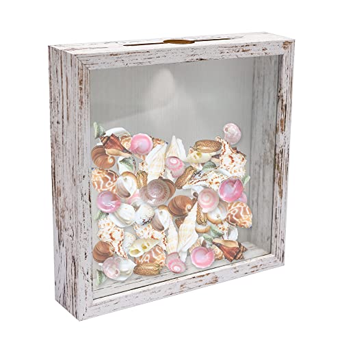 Snapklik.com : GraduationMall 8x8 Top Loading Shadow Box Frame