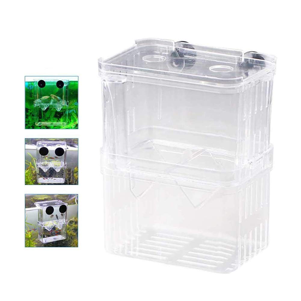 Buy Daoyuan Fish Breeding Box, Fish Insulation Box Acrylic Transparent ...