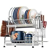Amazon.com: iSPECLE Dish Drying Rack - 2 Tier Small Dish Racks for ...
