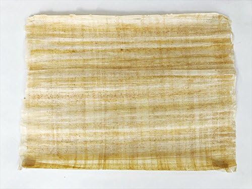 Papyrus Papyrus Paper Approximately A3 Size Real Ancient Egypt ...