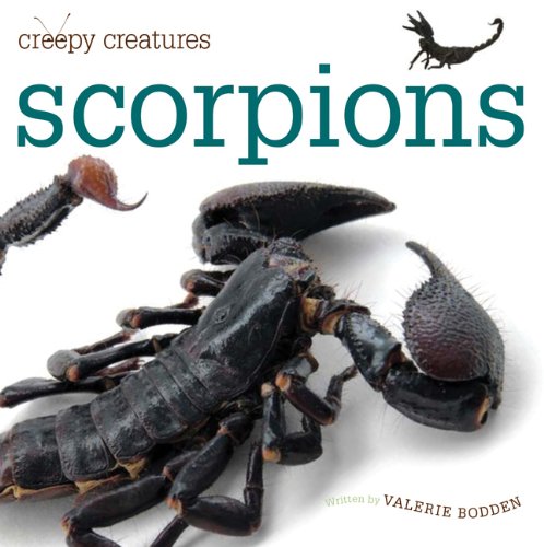 Creepy Creatures Scorpions Bodden Valerie 9780898125689 Amazon