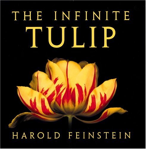 The Infinite Tulip: Feinstein, Harold: Amazon.com: Books