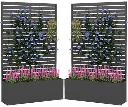 Best Tall Planter Boxes for Privacy and Greenery – The Yogic Garden