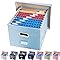 Amazon.com: PRANDOM File Organizer Box - Set of 1 Collapsible ...