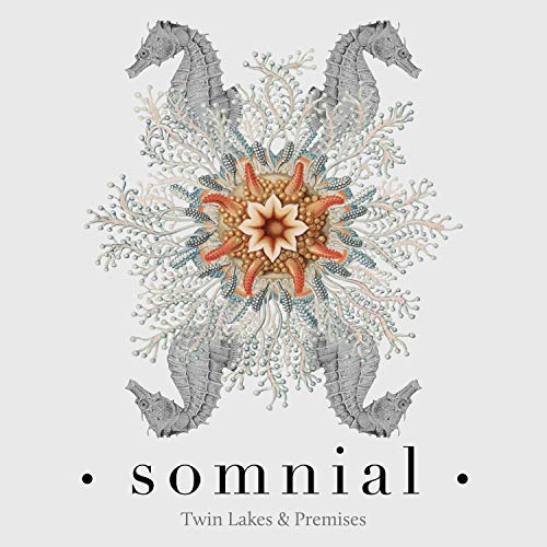 Twin Lakes & Premises by Somnial on Amazon Music - Amazon.com