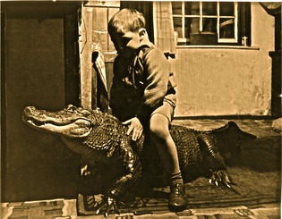 Amazon.com: Pen Densham: books, biography, latest update