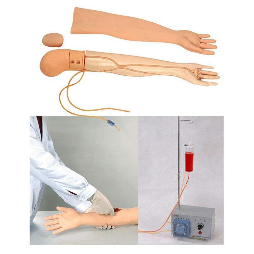 Jl Iv Practice Arm Phlebotomy Venipuncture Procedures And Techniques ...