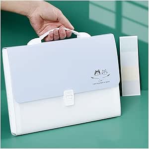 Amazon.com : Original Desktop File 4-Pack Accordion Bill/Paper/Document ...